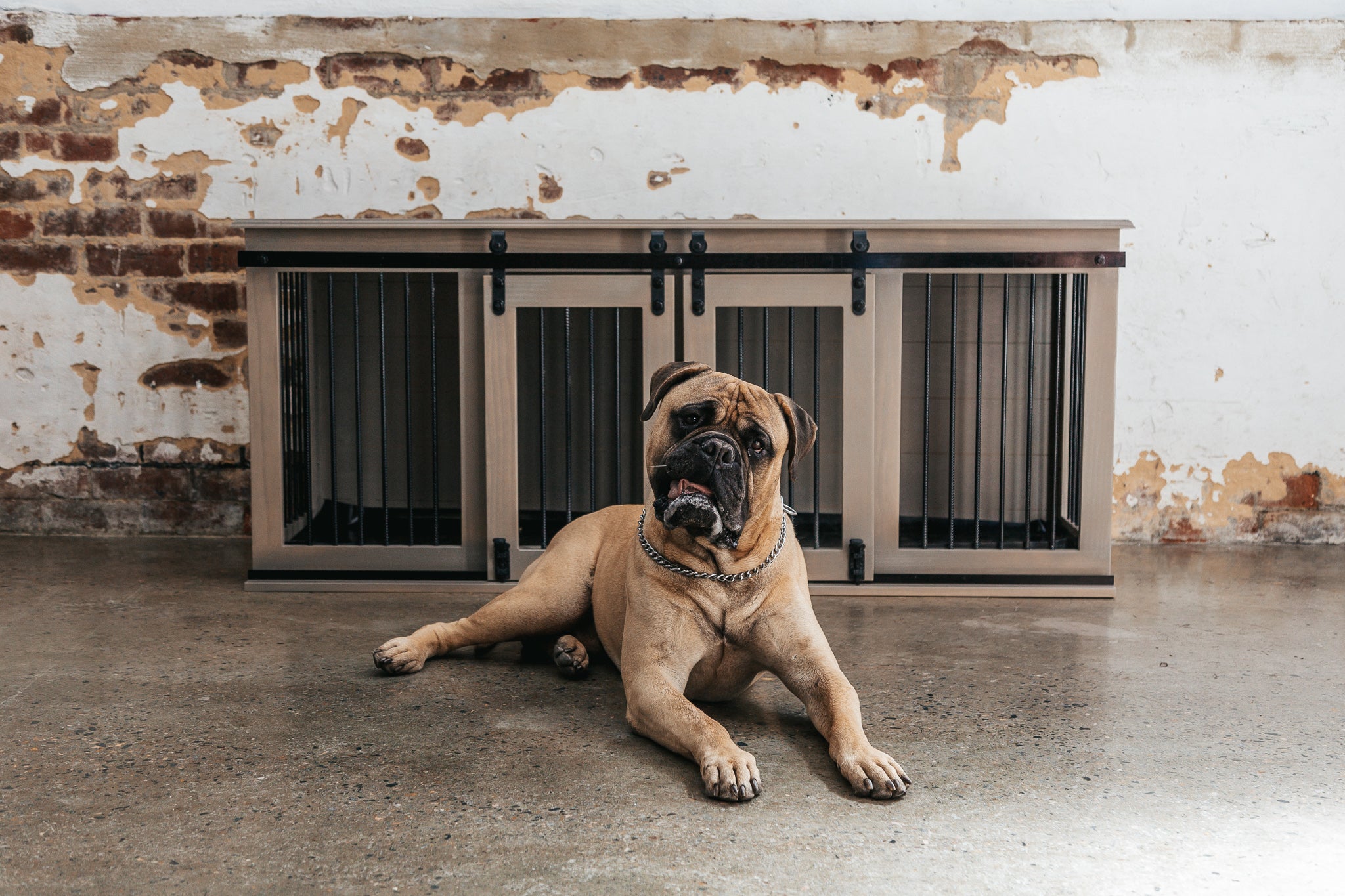 Kustom Kennels Luxury Dog Kennels and Crates based in Perth, Australia